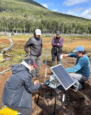 Cómo mejorar la gestión de las turberas: una apuesta de WCS Chile > WCS Chile